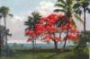A. E. Backus Art Collection for Sale | Edward and Deborah Pollack Fine Art